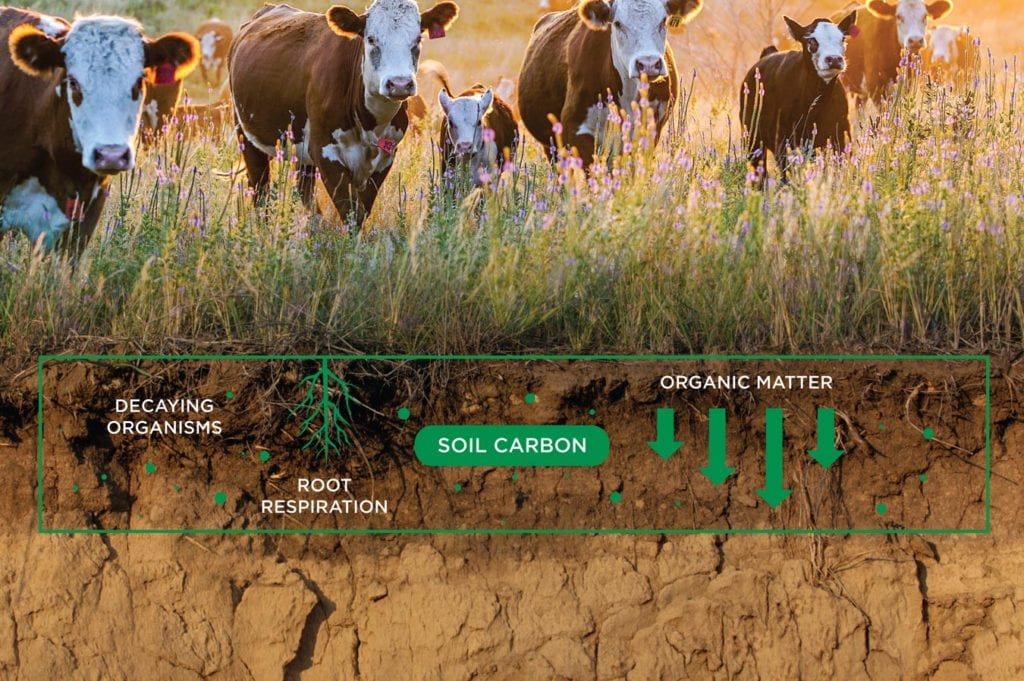 Carbon Farming 101 | Select Carbon
