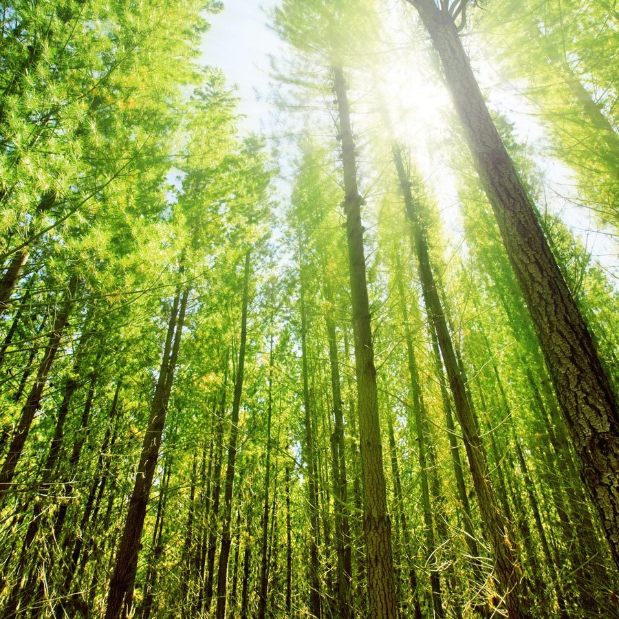 An Introduction to Carbon Farming | Select Carbon